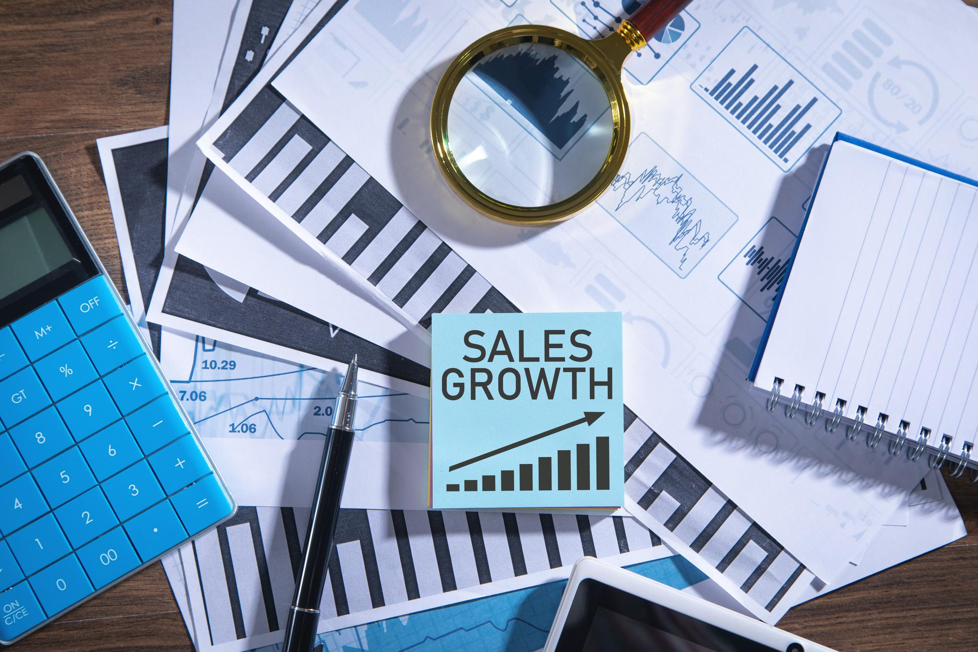 The Art of Sales Planning: The Key to Success in Business - Polarys Polska
